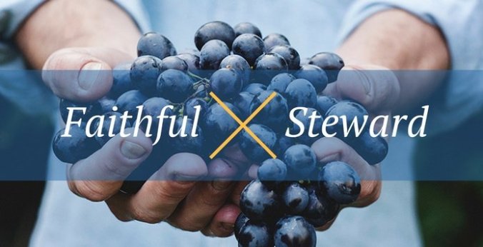 Daily Devotion: Faithful Stewardship – The Lutheran Column