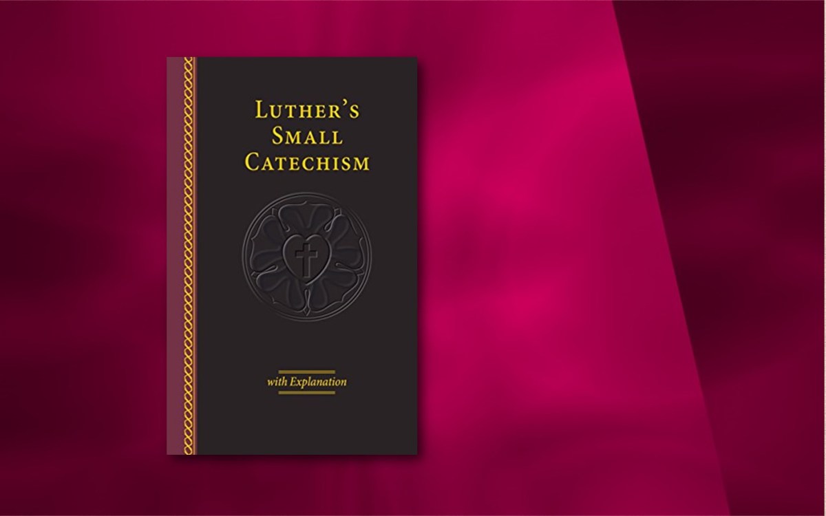 Beckett: Lutherans Should Read the Catechism Daily – The Lutheran Column